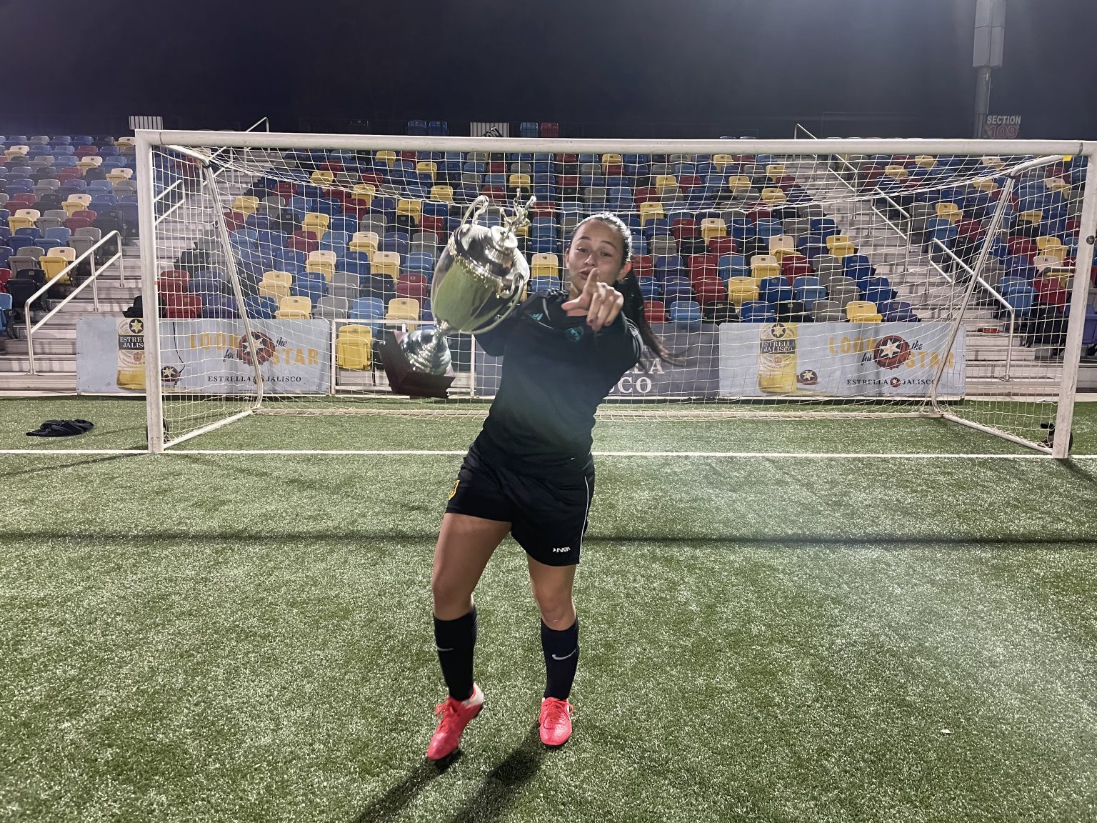 Leagues - Silverbacks Park